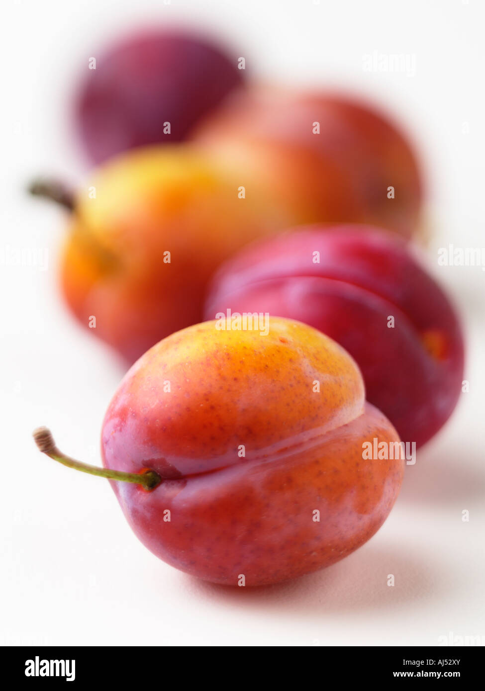 English ripe plums on a white background Stock Photo - Alamy