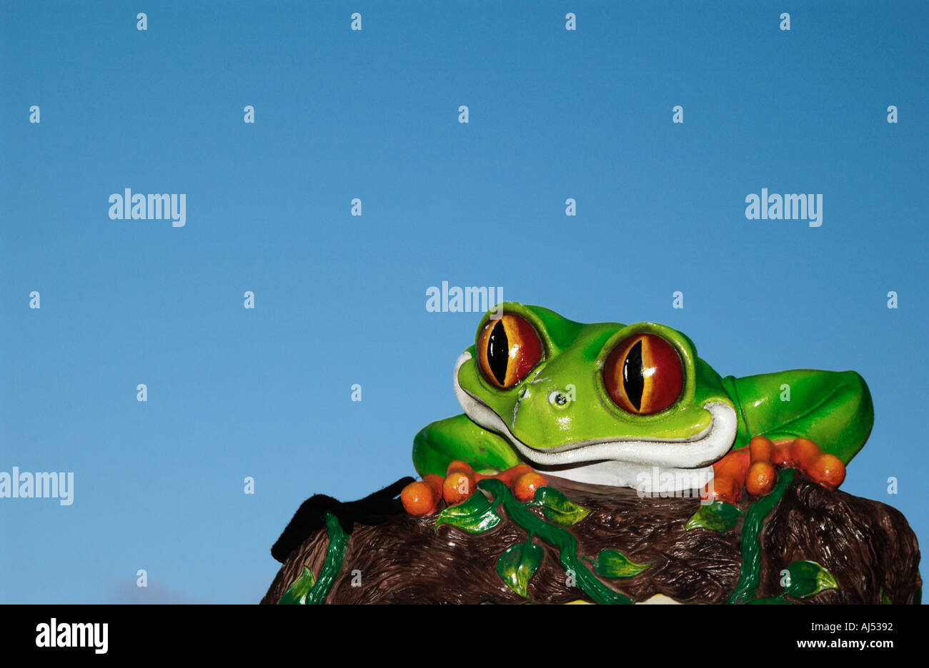 False eyed frog hi-res stock photography and images - Alamy