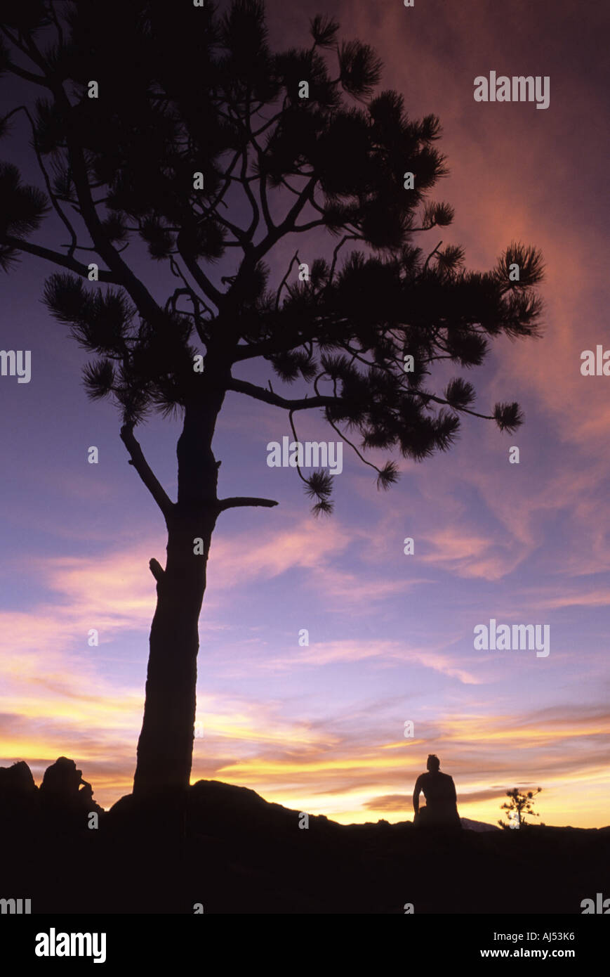 Man gazing upwards hi-res stock photography and images - Alamy