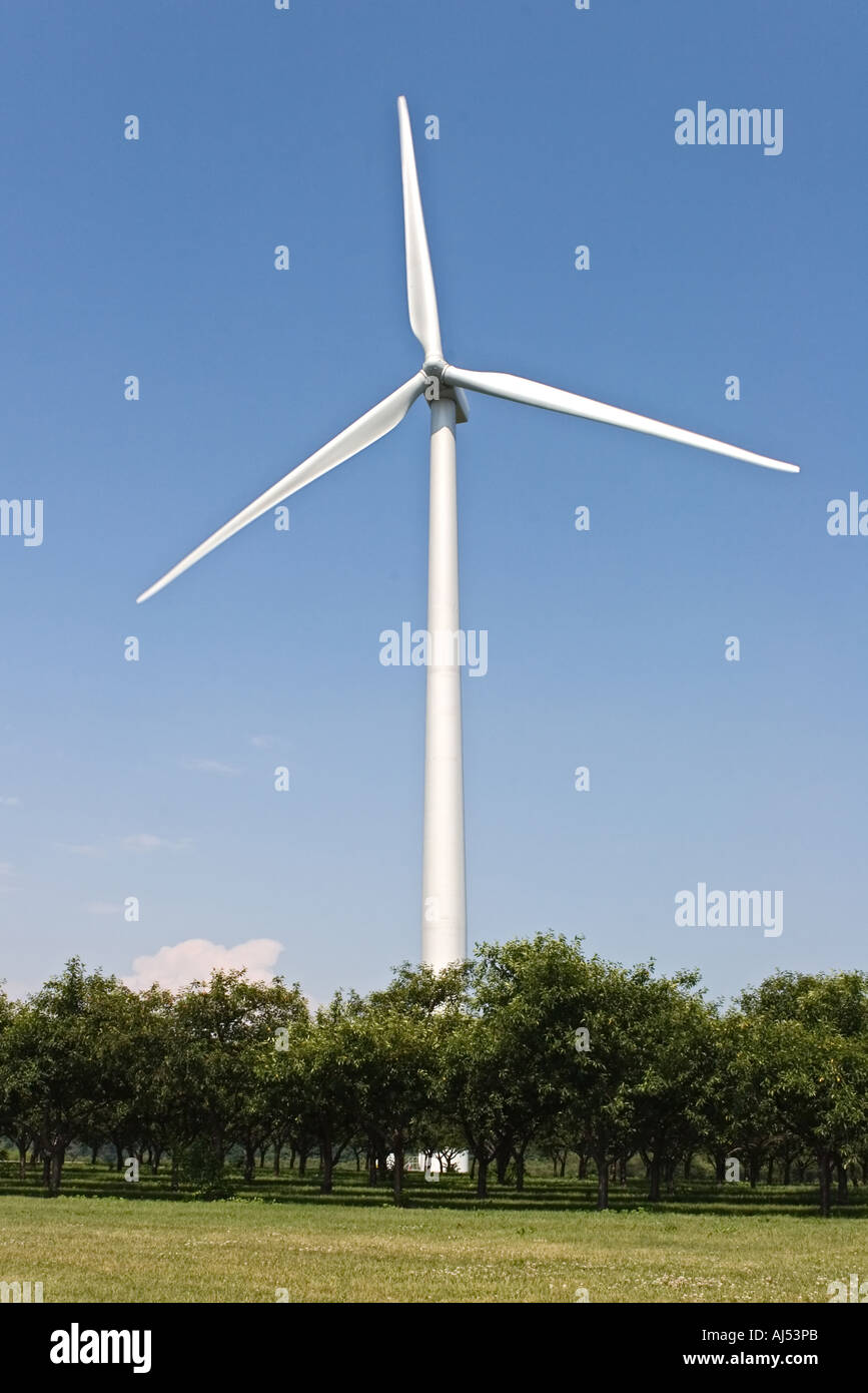 Windmills in a farmer's field Stock Photo - Alamy