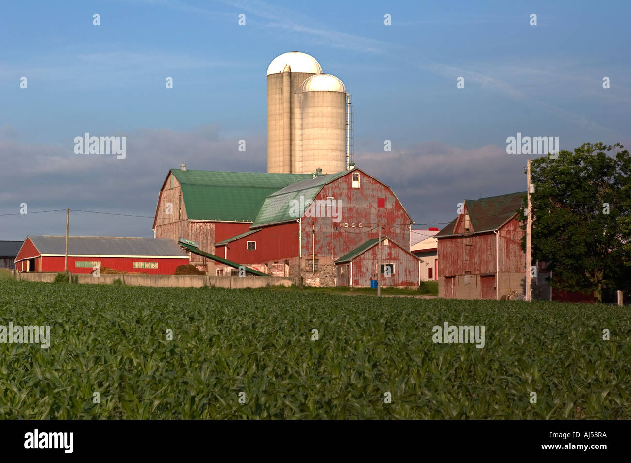 Barn and silo on a farmer's field Stock Photo - Alamy