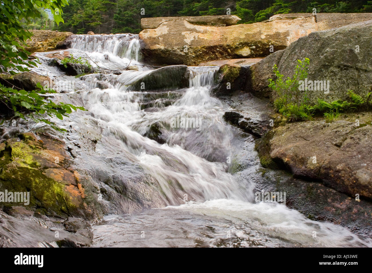 Fast moving mountain stream Stock Photo - Alamy
