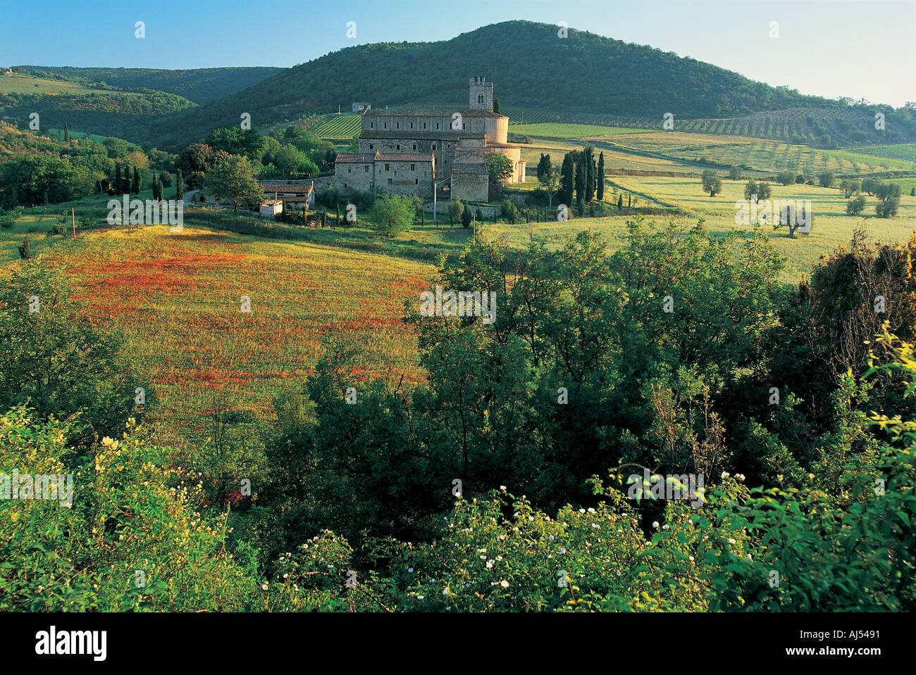 Abbazia di Sant Antimo Tuscany Italy Stock Photo - Alamy
