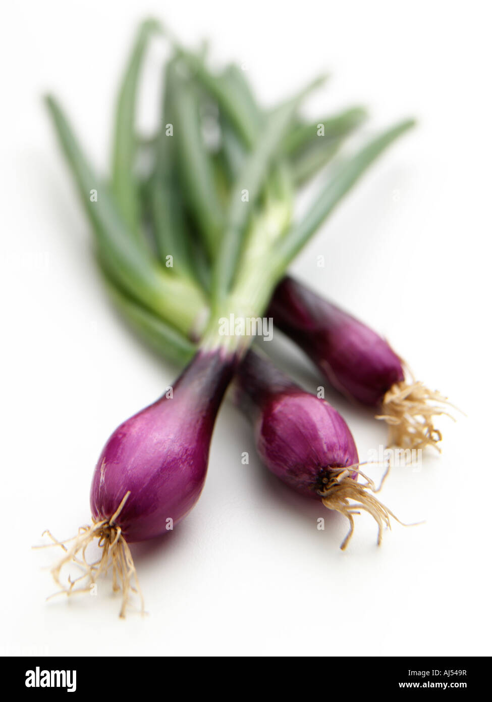 Red onions green stalks hi-res stock photography and images - Alamy