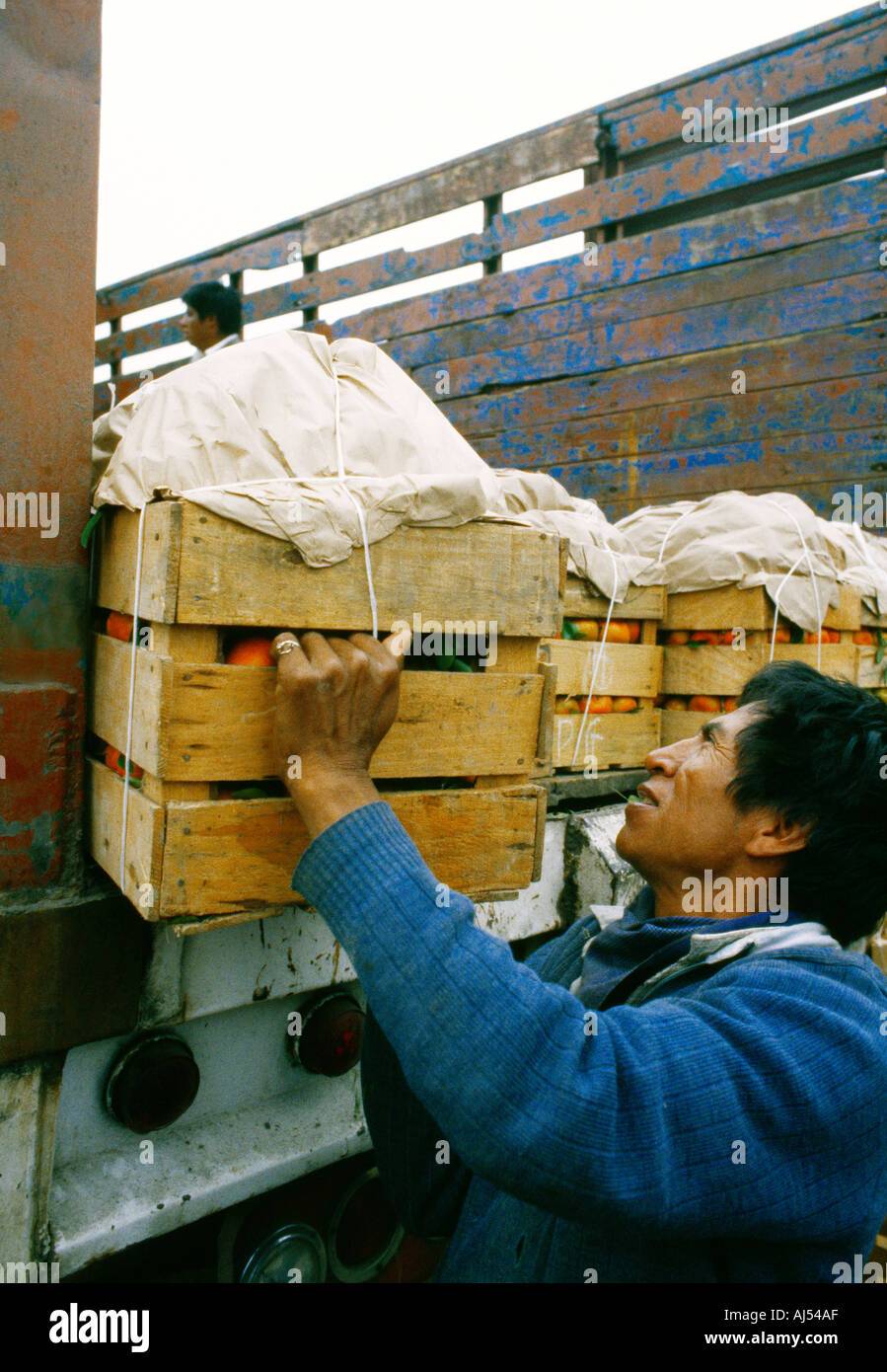 A Mexican man loads a lorry with crates of oranges Stock Photo - Alamy