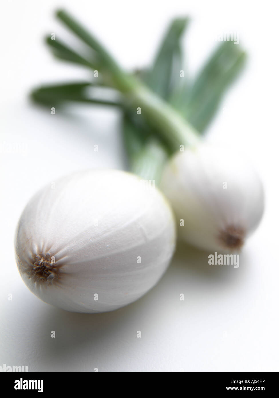 Continental Onions High Resolution Stock Photography and Images - Alamy