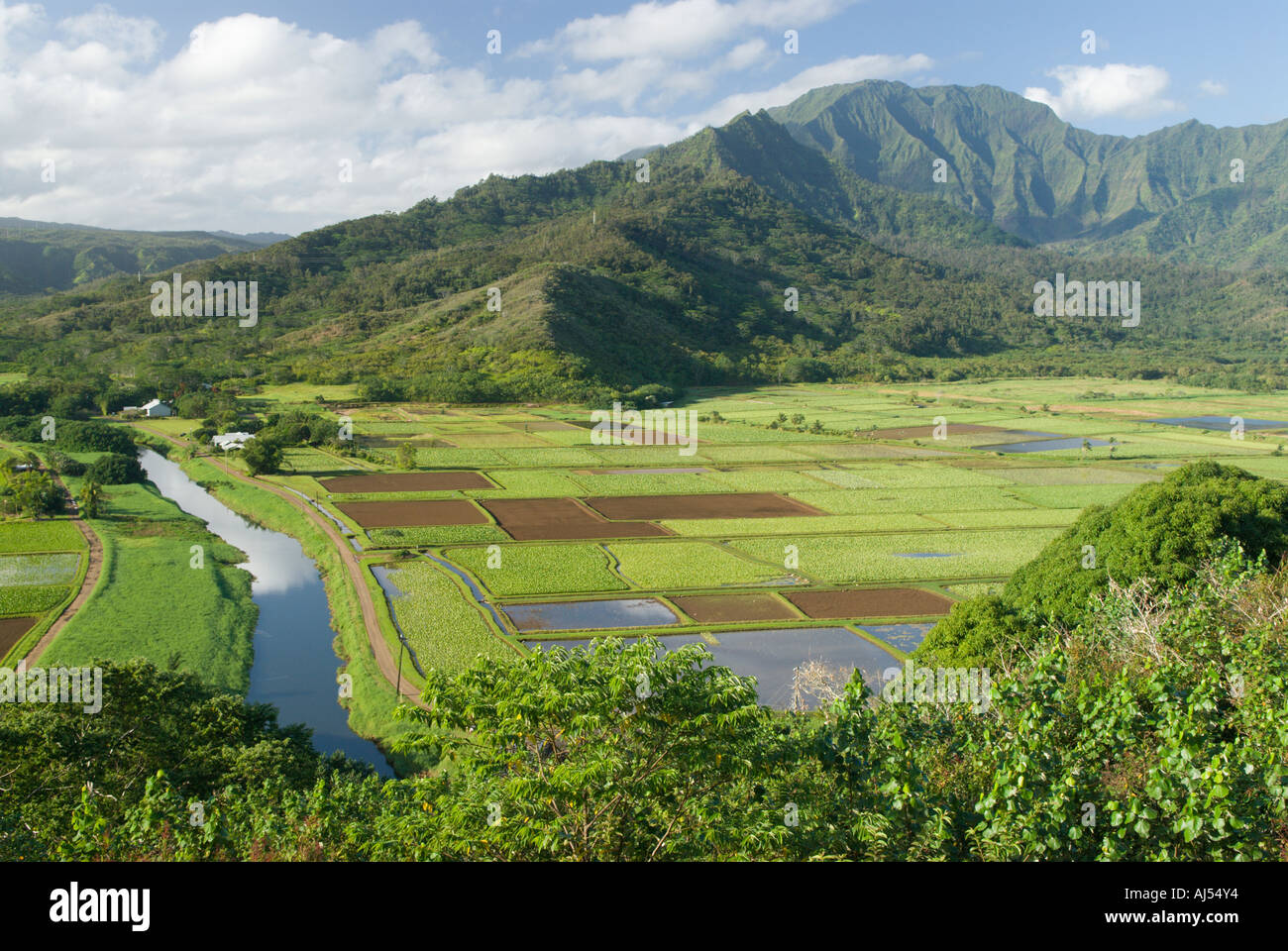 Hanalei valley river in hi-res stock photography and images - Alamy