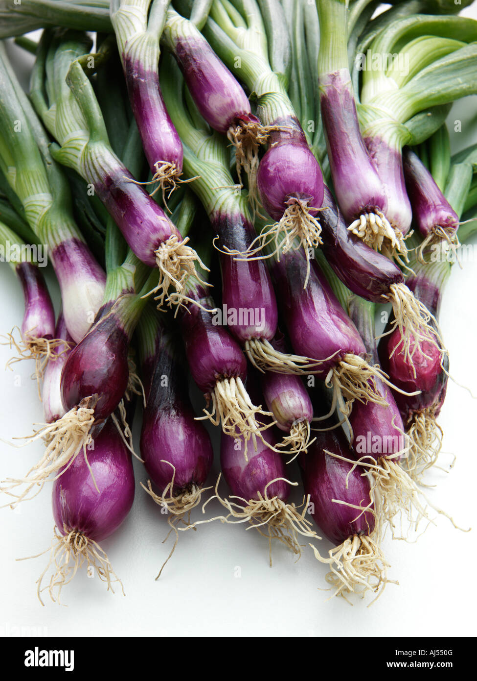 Red onions green stalks hi-res stock photography and images - Alamy