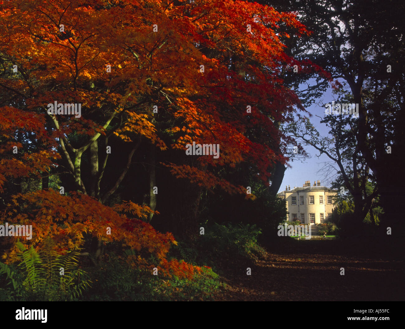 Bedale hall hi-res stock photography and images - Alamy