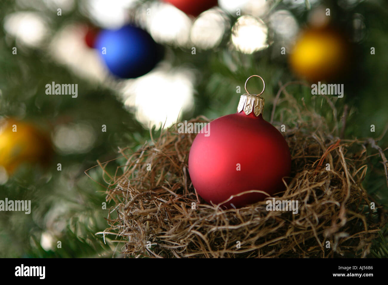 Nestle christmas hi-res stock photography and images - Alamy