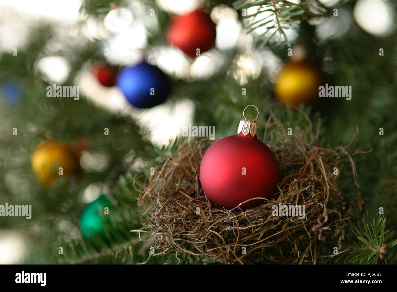 Nestle christmas hi-res stock photography and images - Alamy