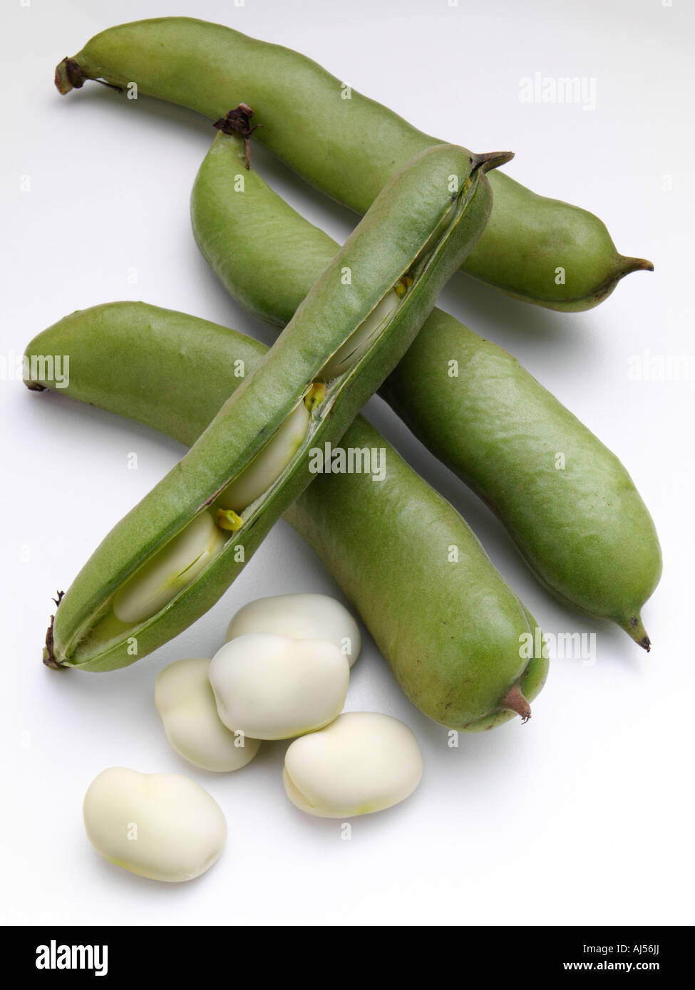 Broad beans on a white background Stock Photo - Alamy
