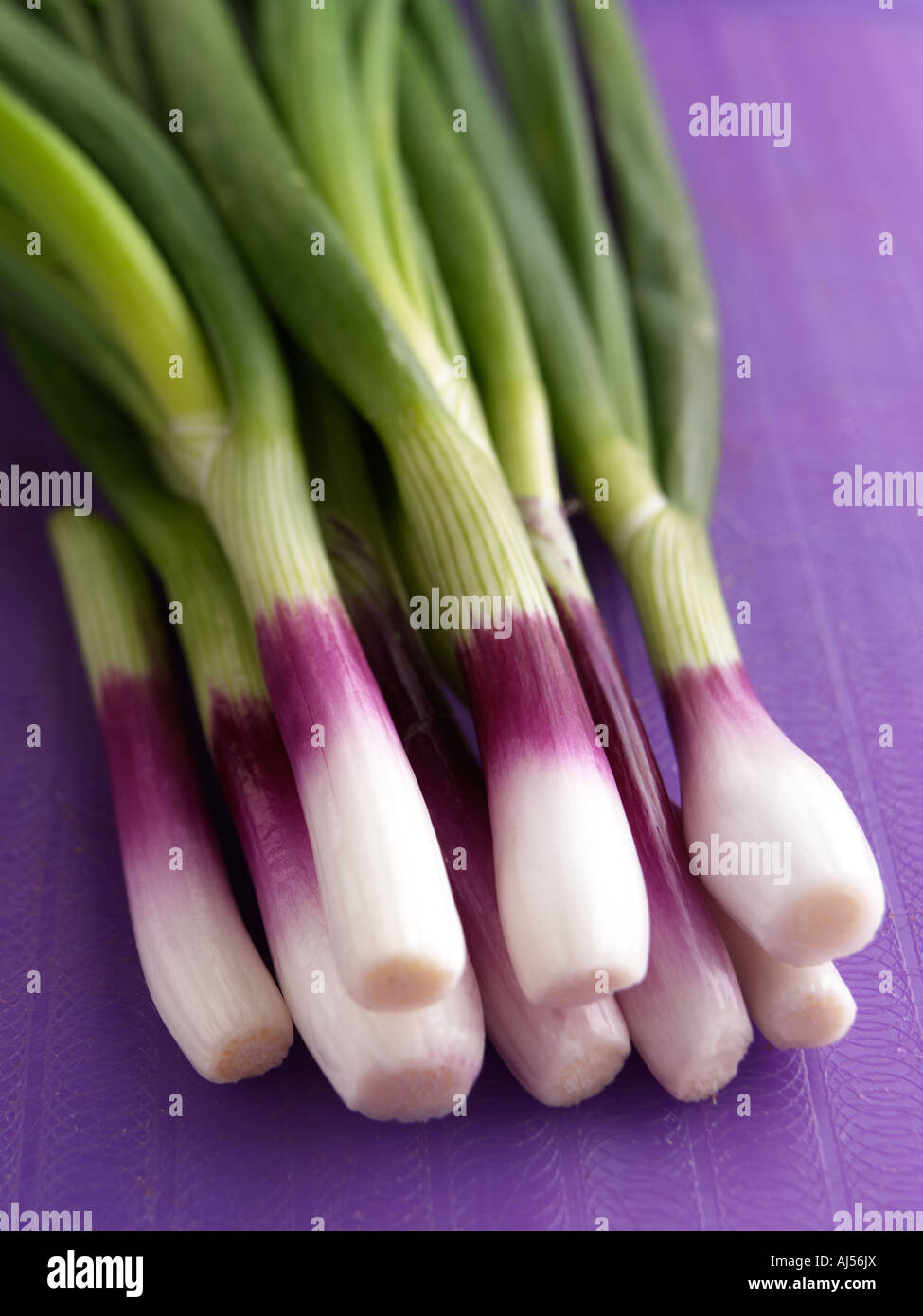 Spring onions on a purple background Stock Photo - Alamy