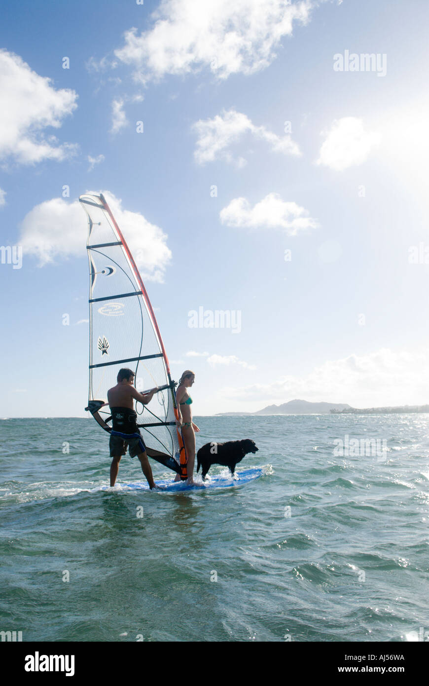 Couple & dog windsurfing together, Oahu, Hawaii Stock Photo - Alamy