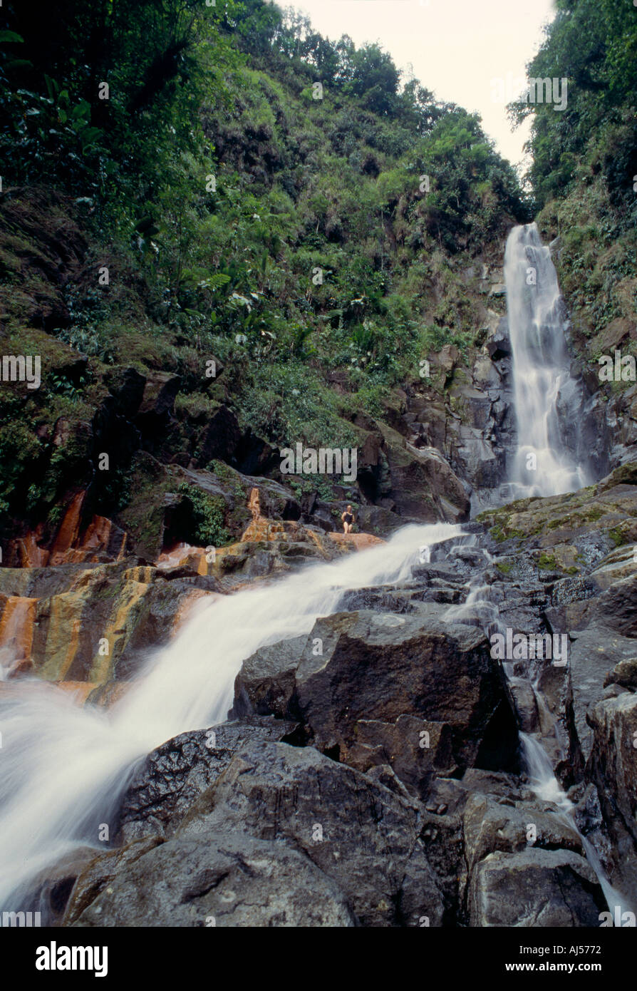 Dominica Trafalgar Falls Father from base of falls Stock Photo - Alamy