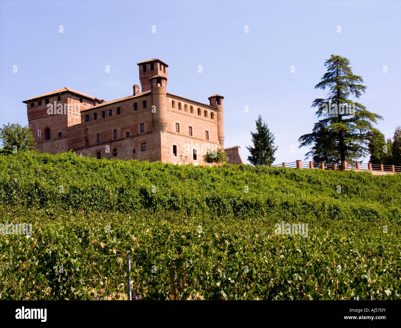 Grinzane Castle, Barolo vineyards, Piemonte Piedmont, Italy Stock Photo ...