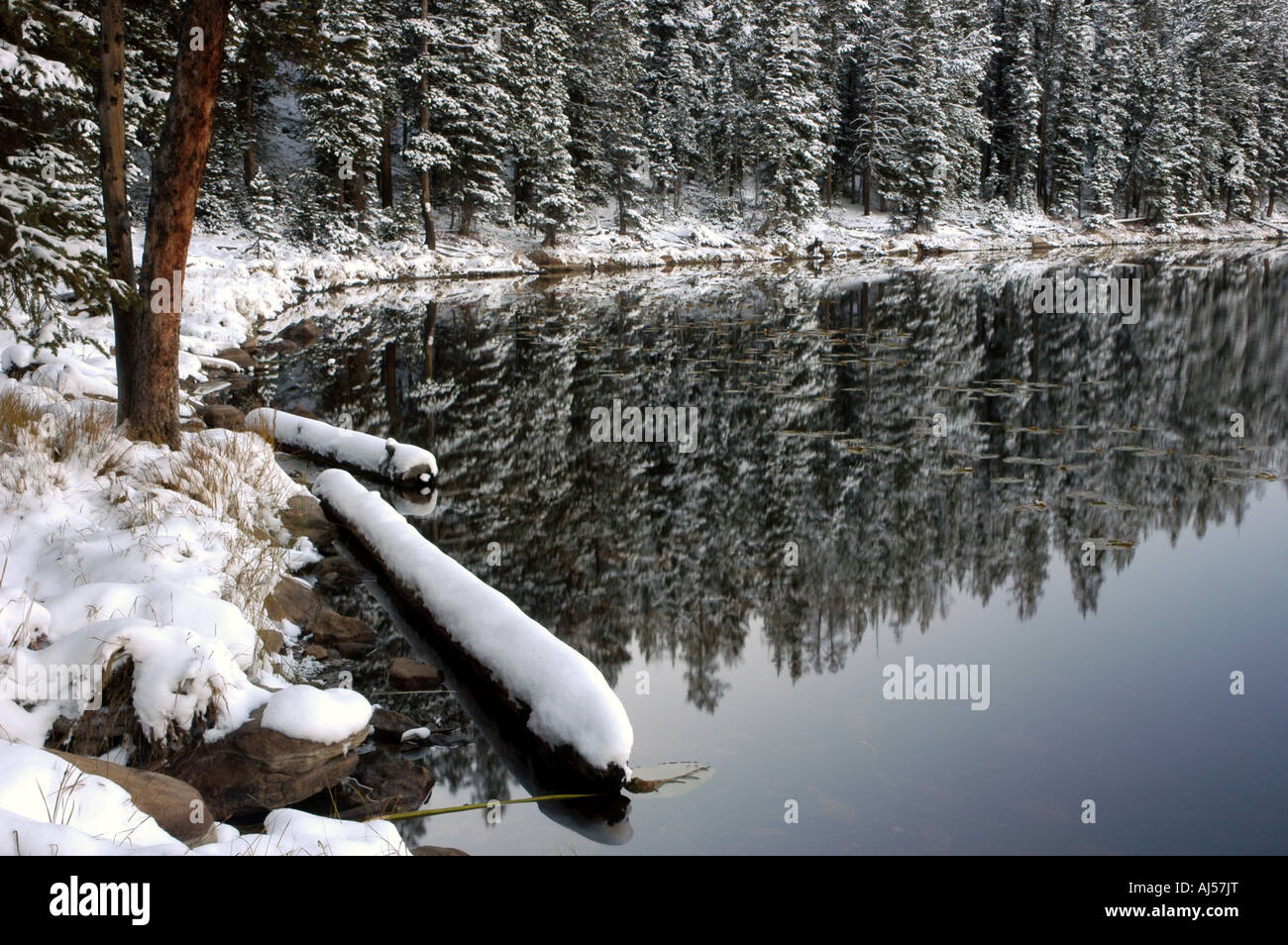 Calm treeline reflection, utah Stock Photo - Alamy