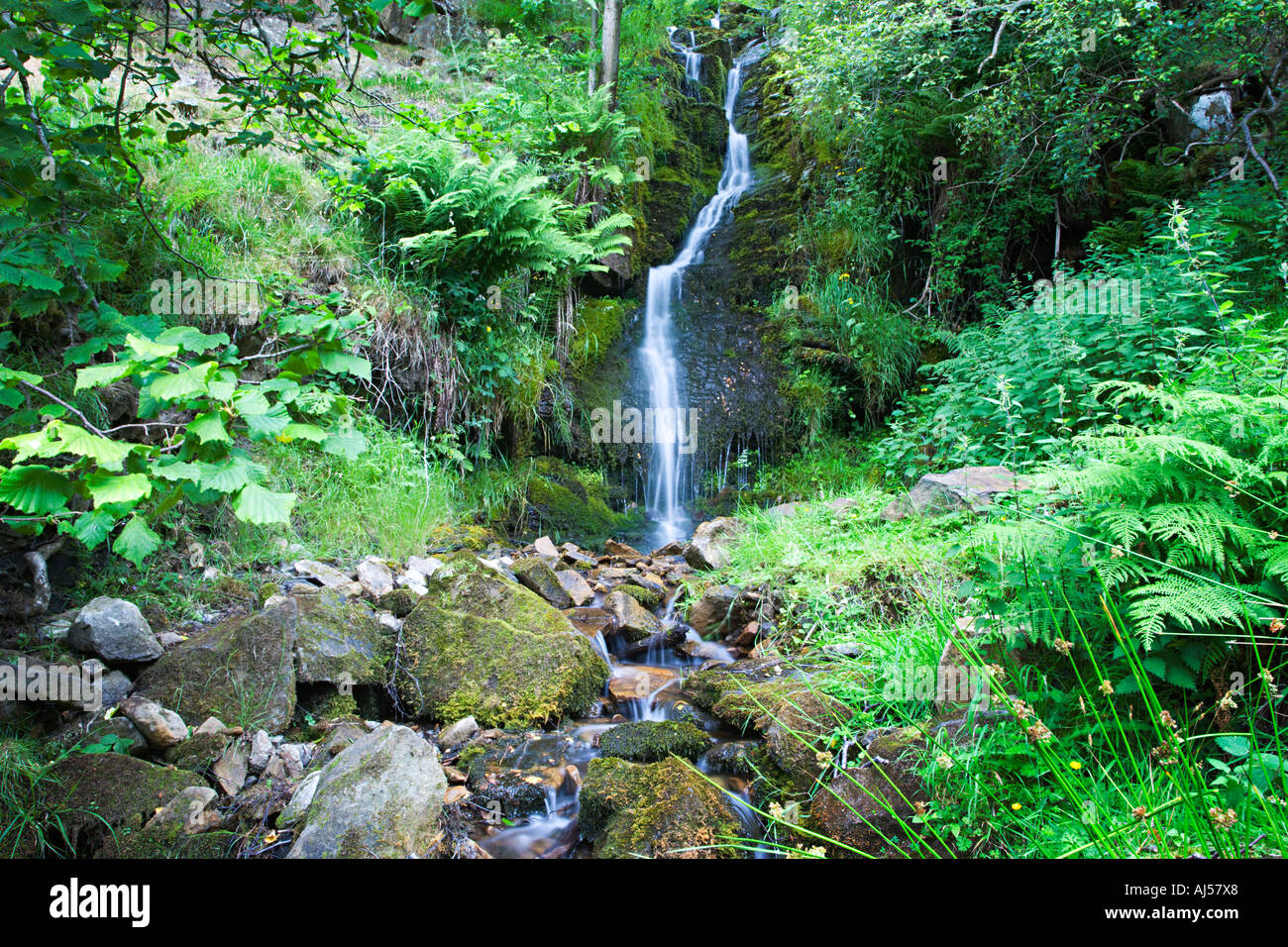Arn Gill Beck And Waterfall Near Muker In Swaledale, Muker 'The ...