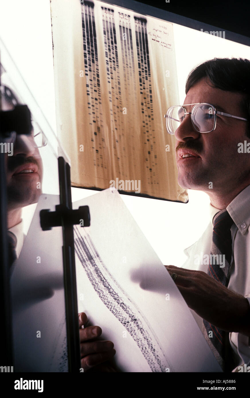 Dna sequencing gel electrophoresis hi-res stock photography and images ...