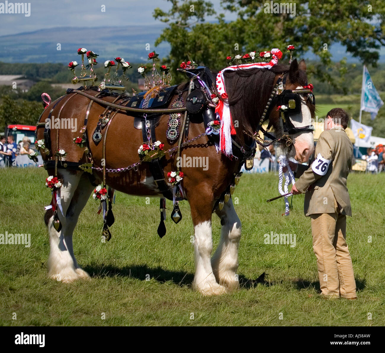 Great Eccleston Agricultural show, Lancashire, 2007 Stock Photo - Alamy