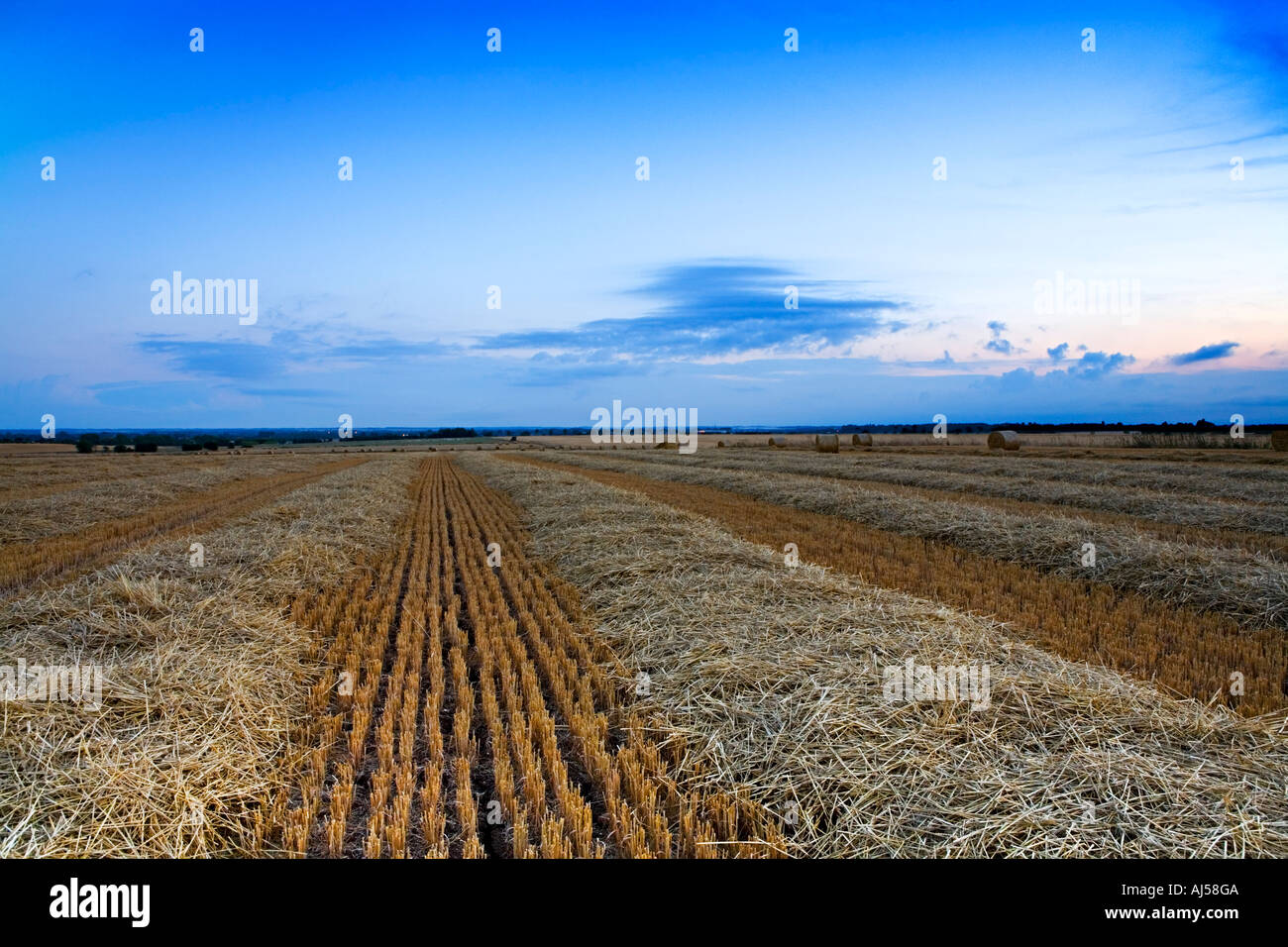 Wheat Stubble Field And Hay Bales After The Wheat Harvest In Early ...