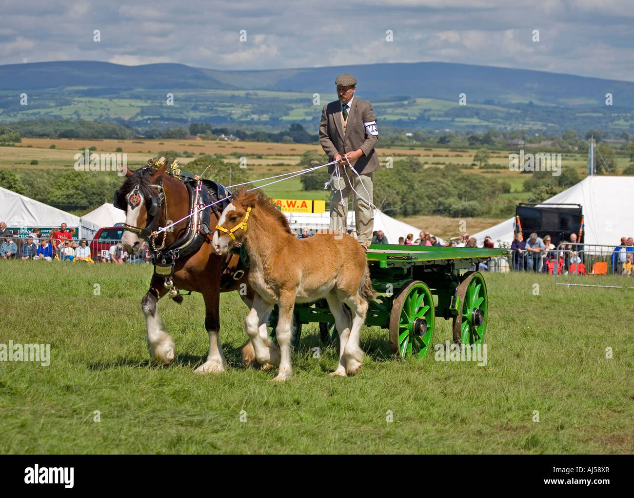 Great Eccleston Agricultural show, Lancashire, 2007 Stock Photo - Alamy