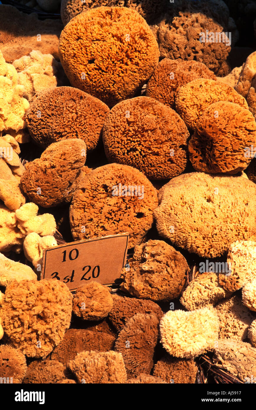 Olympics 2004 Athens Greece Close Up of Greek Sponges Stock Photo - Alamy