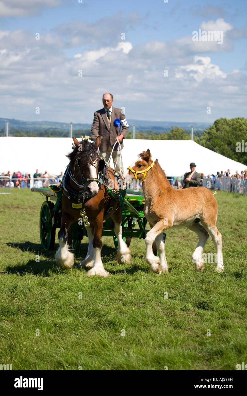Great Eccleston Agricultural show, Lancashire, 2007 Stock Photo - Alamy