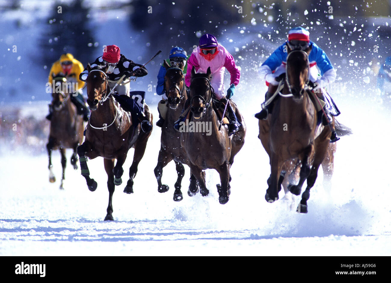 Horse racing on the frozen lake at St Moritz Stock Photo - Alamy