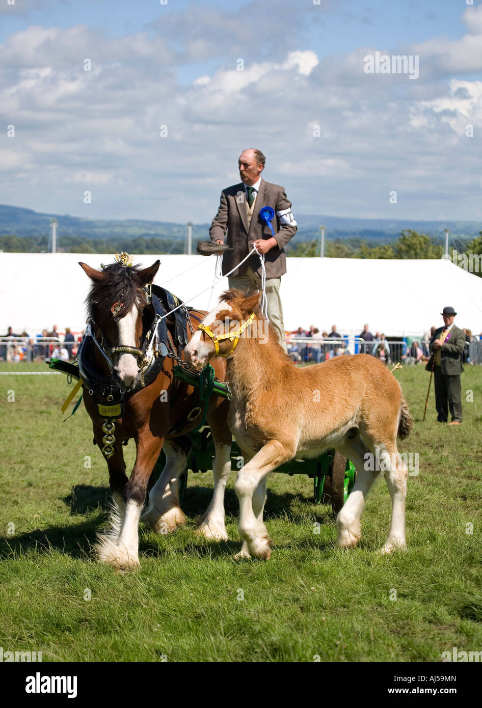 Great Eccleston Agricultural show, Lancashire, 2007 Stock Photo - Alamy