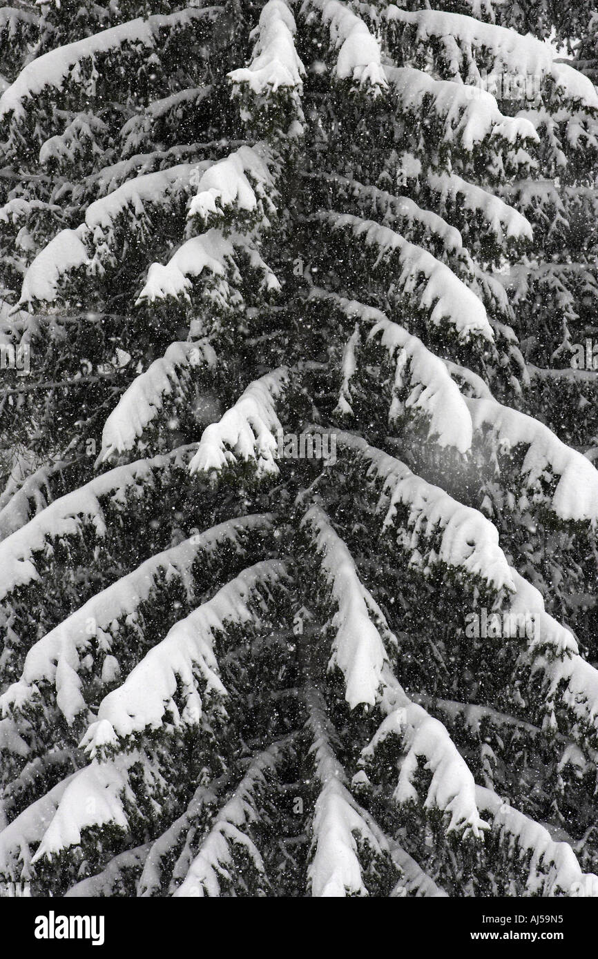 Apine hi-res stock photography and images - Alamy