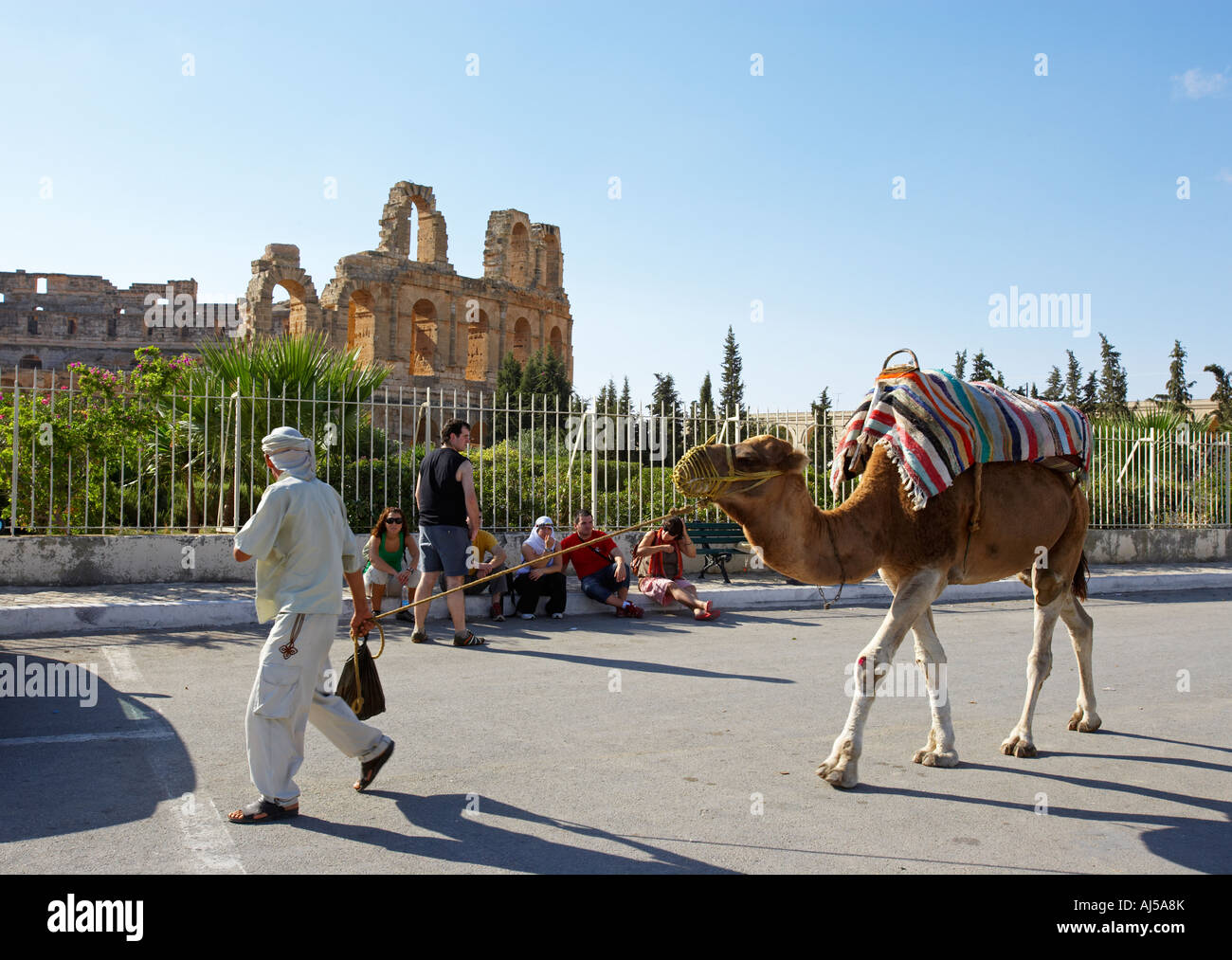 Roman Amphitheatre Tunisia Camel High Resolution Stock Photography and ...