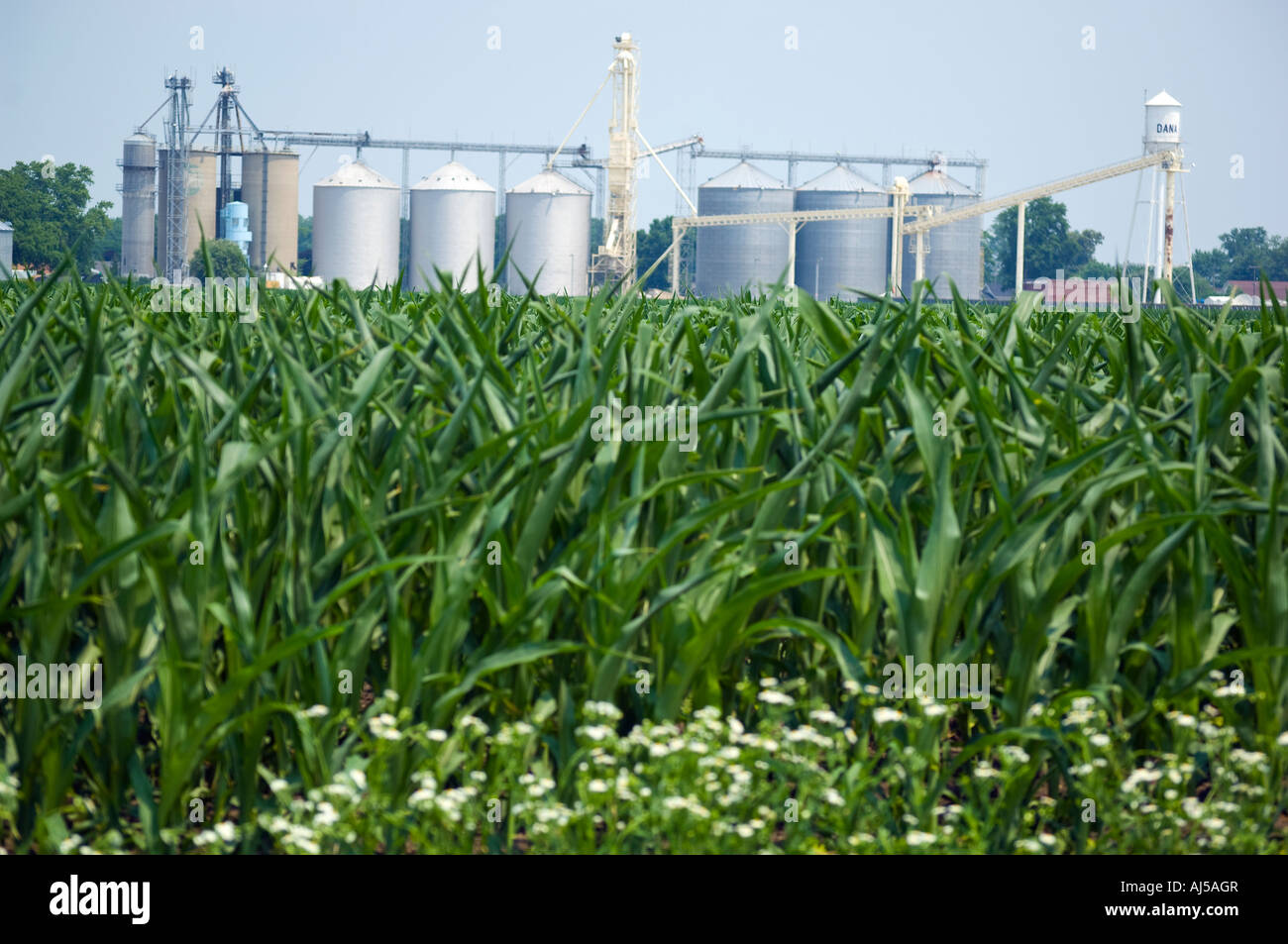 Cargill grain hi-res stock photography and images - Alamy
