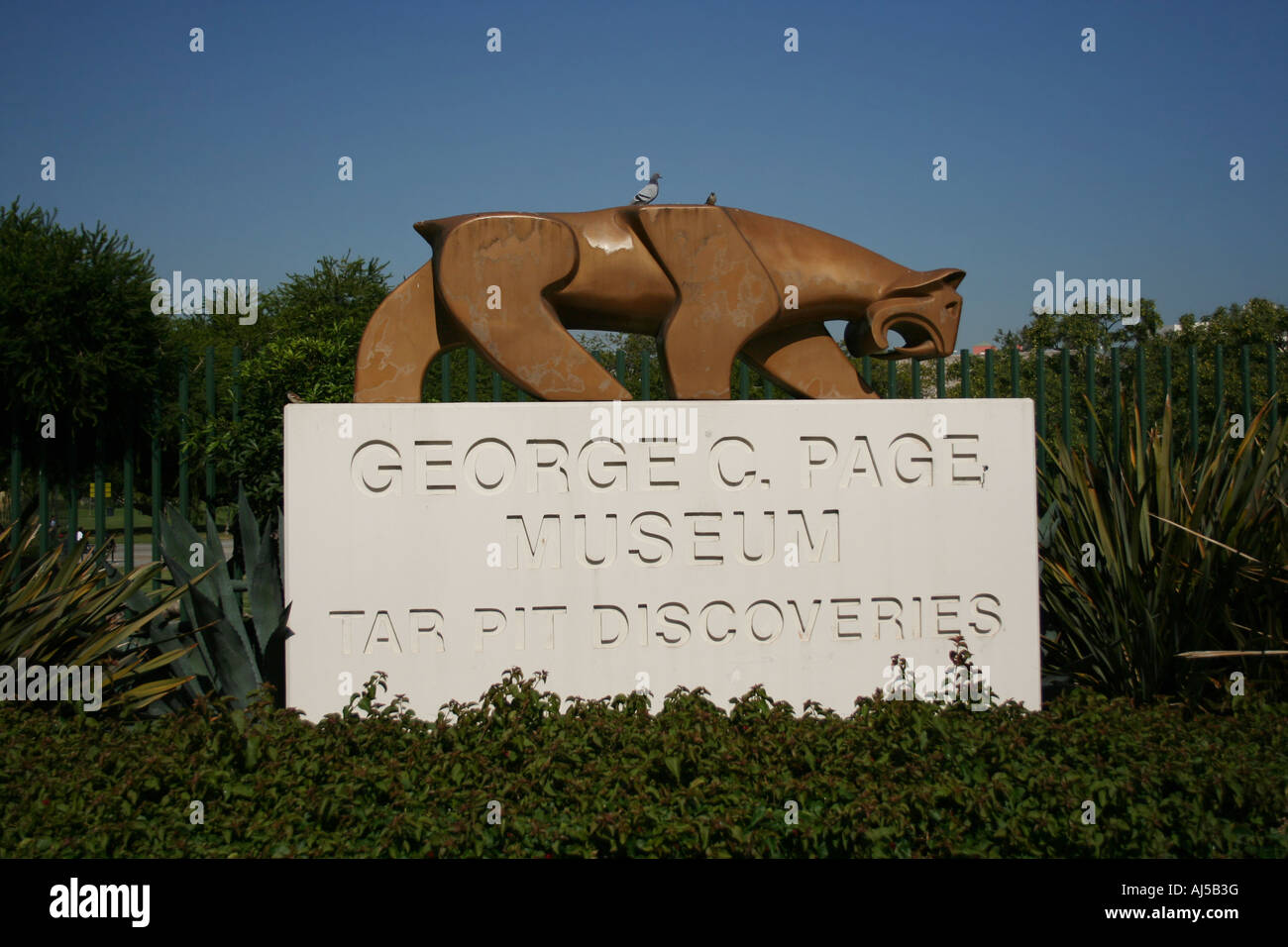 La brea tar pit statue hi-res stock photography and images - Alamy