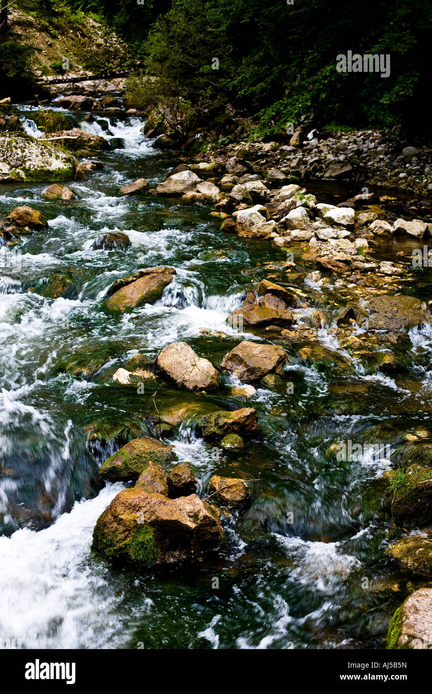 A happy mountain brook bubbles along a slope, through rocks and ...