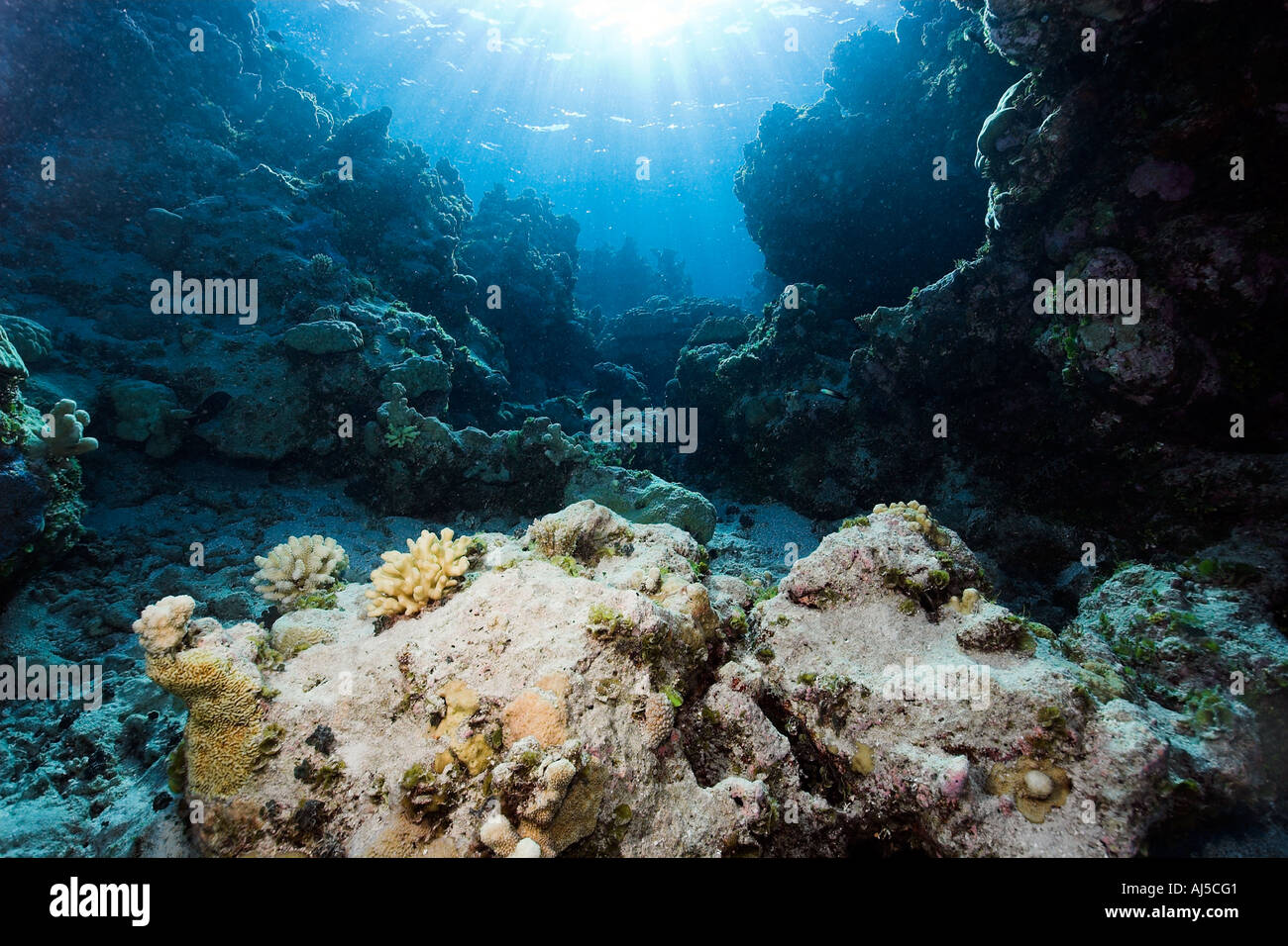 Shallow coral reef and sun burst Erappu channel Ailuk atoll Marshall ...