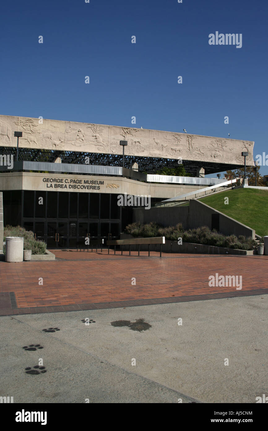 George c page museum of la brea discoveries hi-res stock photography ...