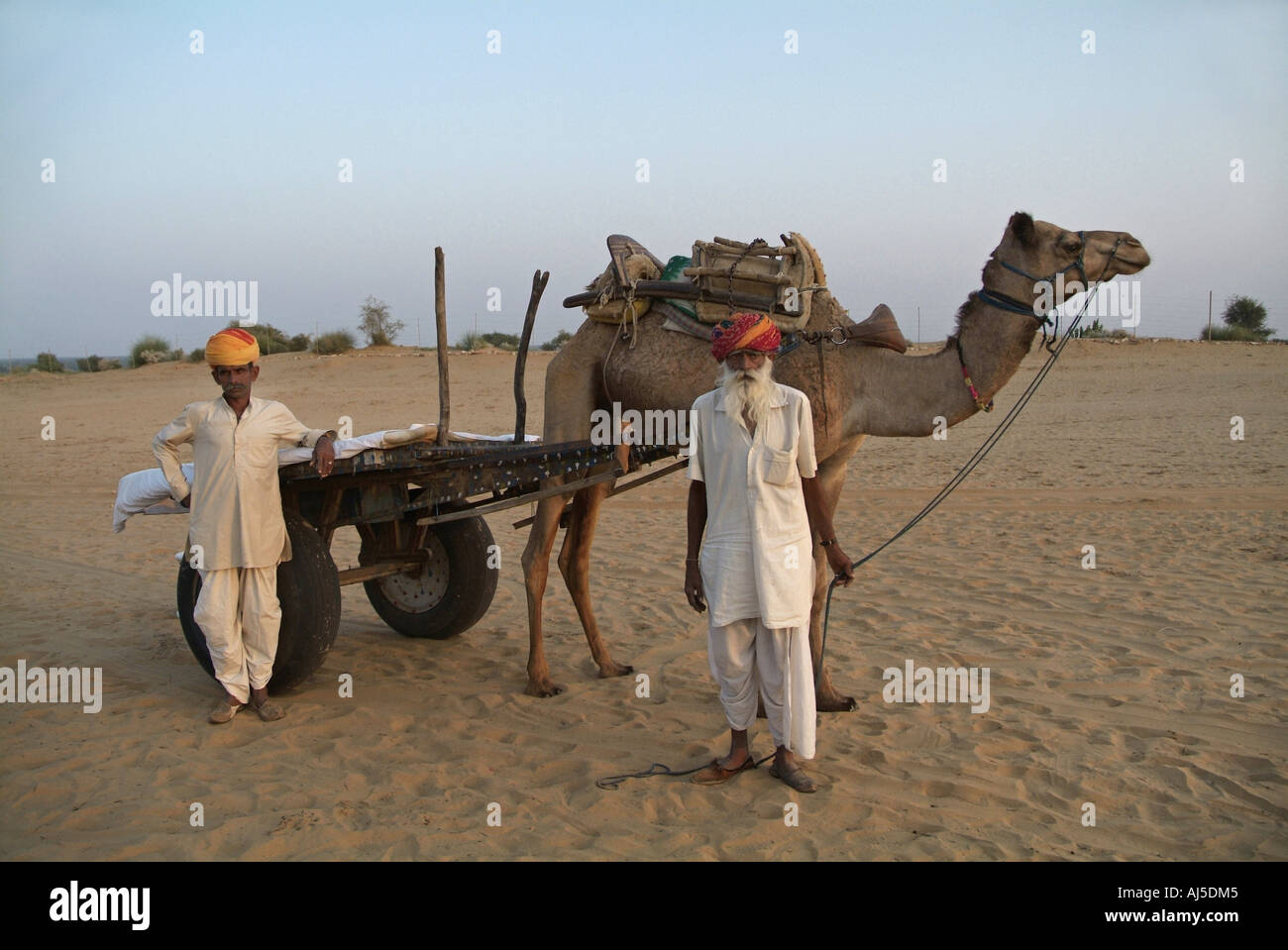 Men with a camel cart in the Thar Desert in Rajasthan, India Stock ...