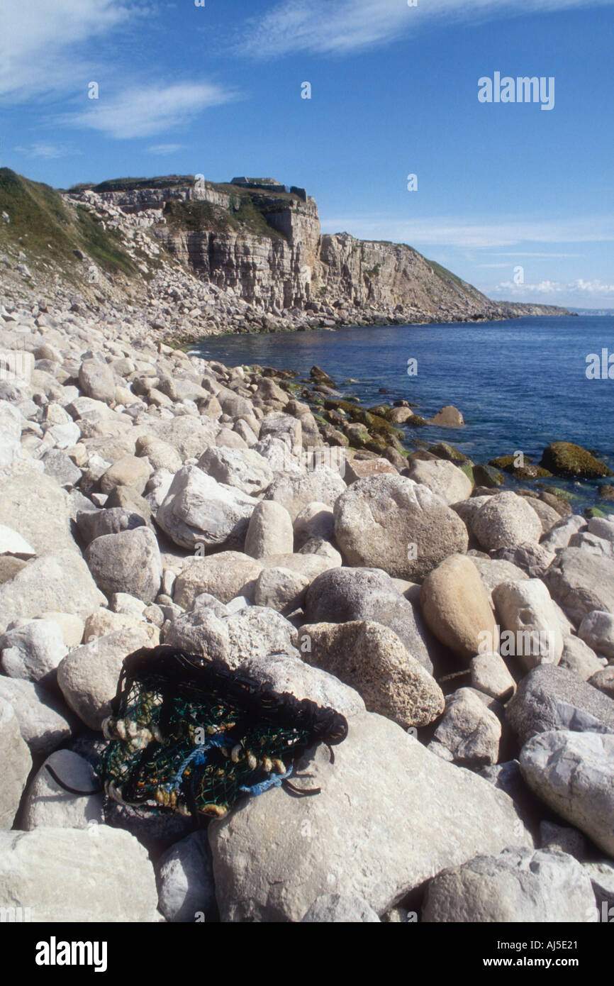 Freshwater bay dorset hi-res stock photography and images - Alamy