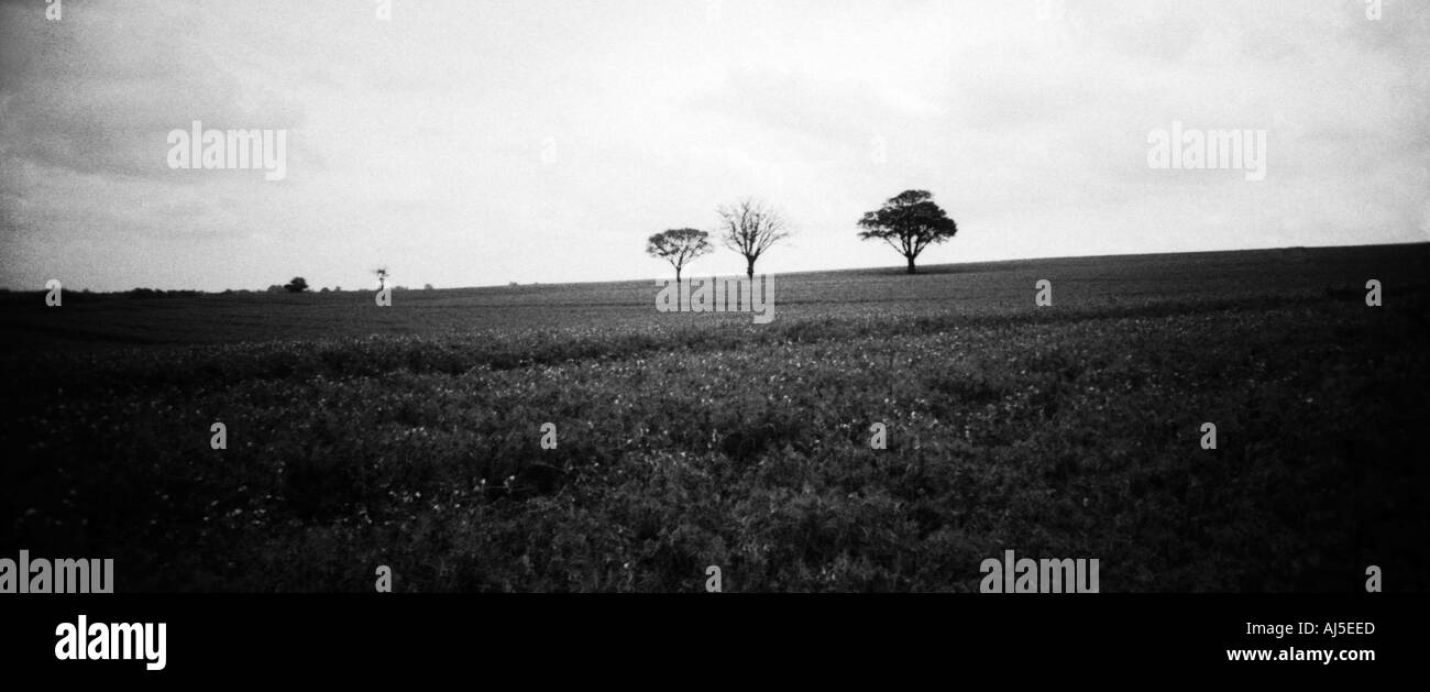 Open fields field Black and White Stock Photos & Images - Alamy