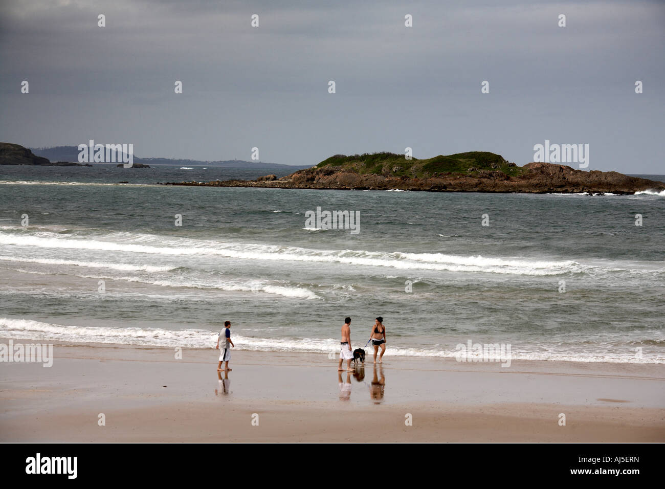 Mutton bird island australia hi-res stock photography and images - Alamy