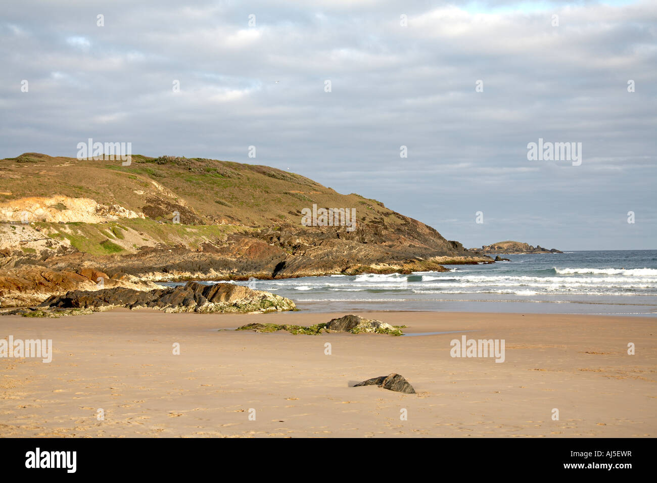 Boambee hi-res stock photography and images - Alamy