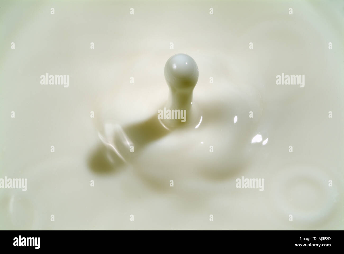 Drop of milk Stock Photo - Alamy