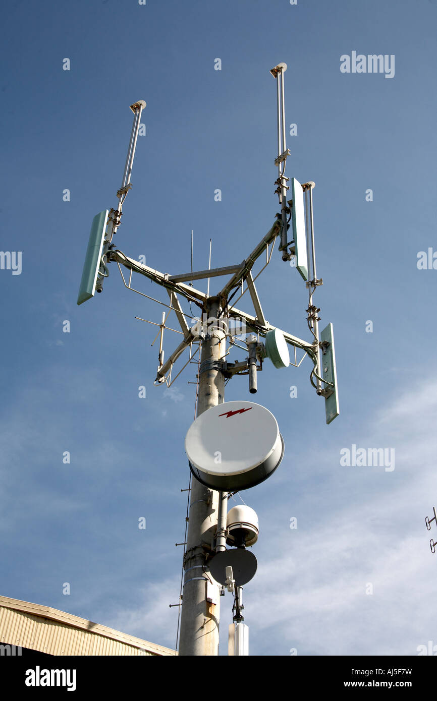 Microwave Antenna