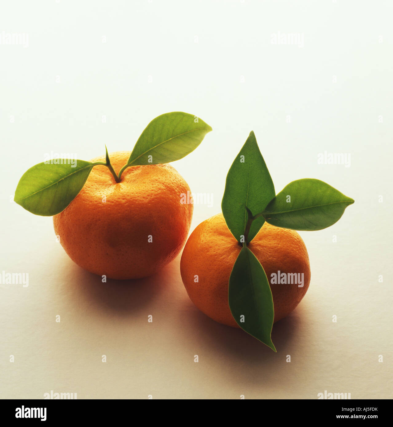 A pair of fresh mandarin orange Stock Photo - Alamy