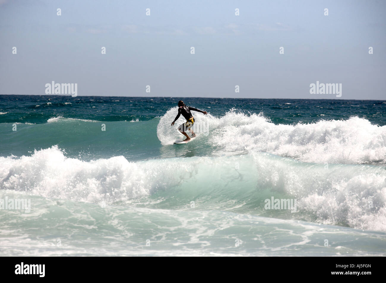 Aussie male surfers hi-res stock photography and images - Alamy