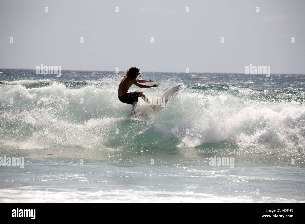 Aussie male surfers hi-res stock photography and images - Alamy