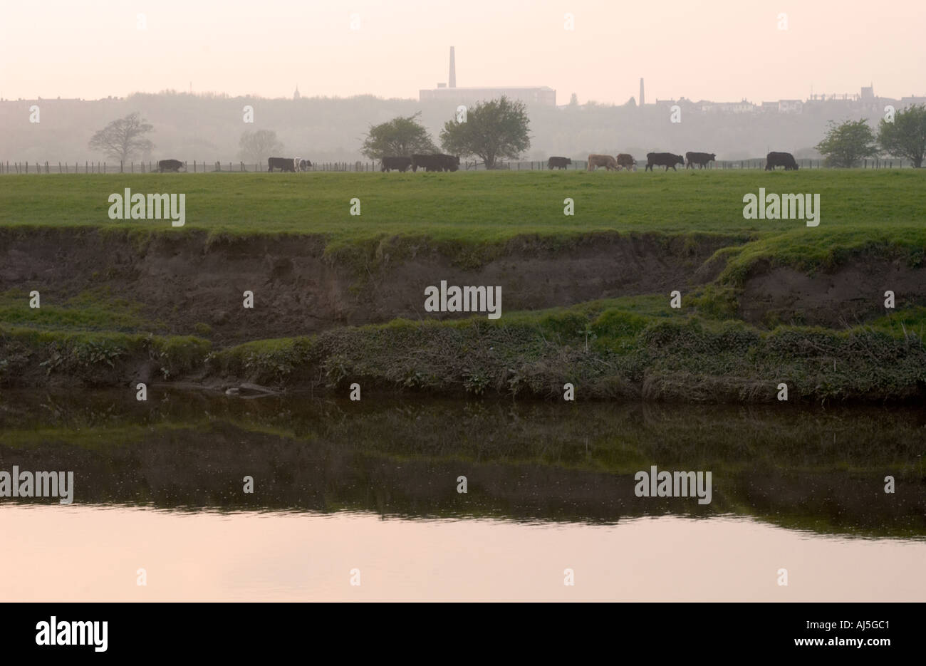 South ribble, lancashire hi-res stock photography and images - Alamy