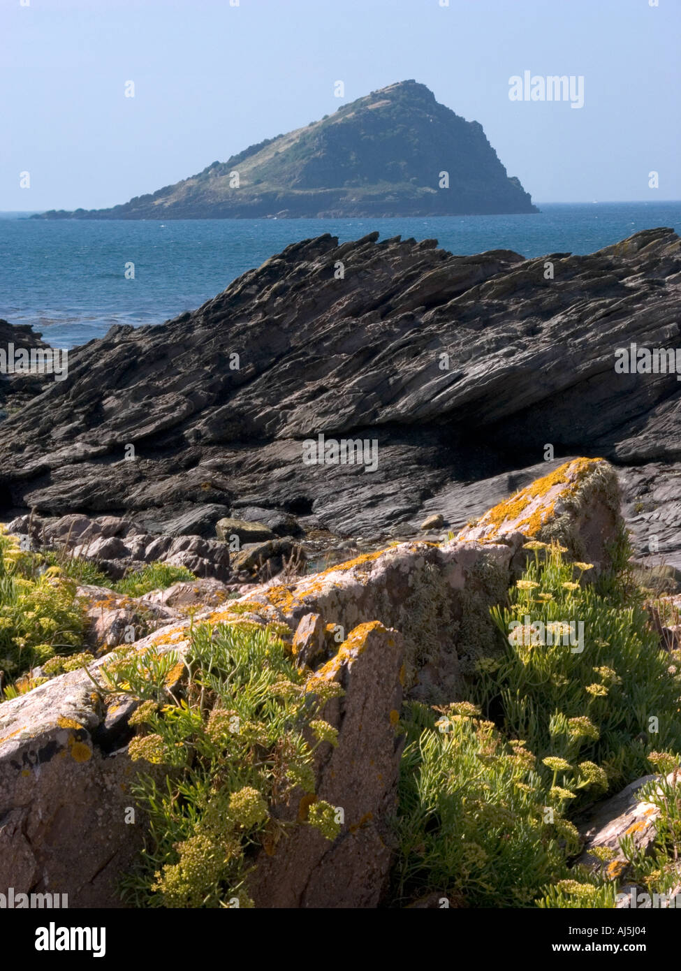 Mew stone seal hi-res stock photography and images - Alamy