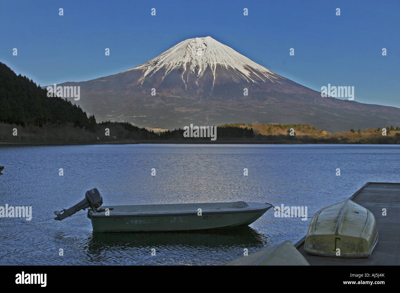 Mount Fuji view from Lake Tanuki Japan Stock Photo - Alamy
